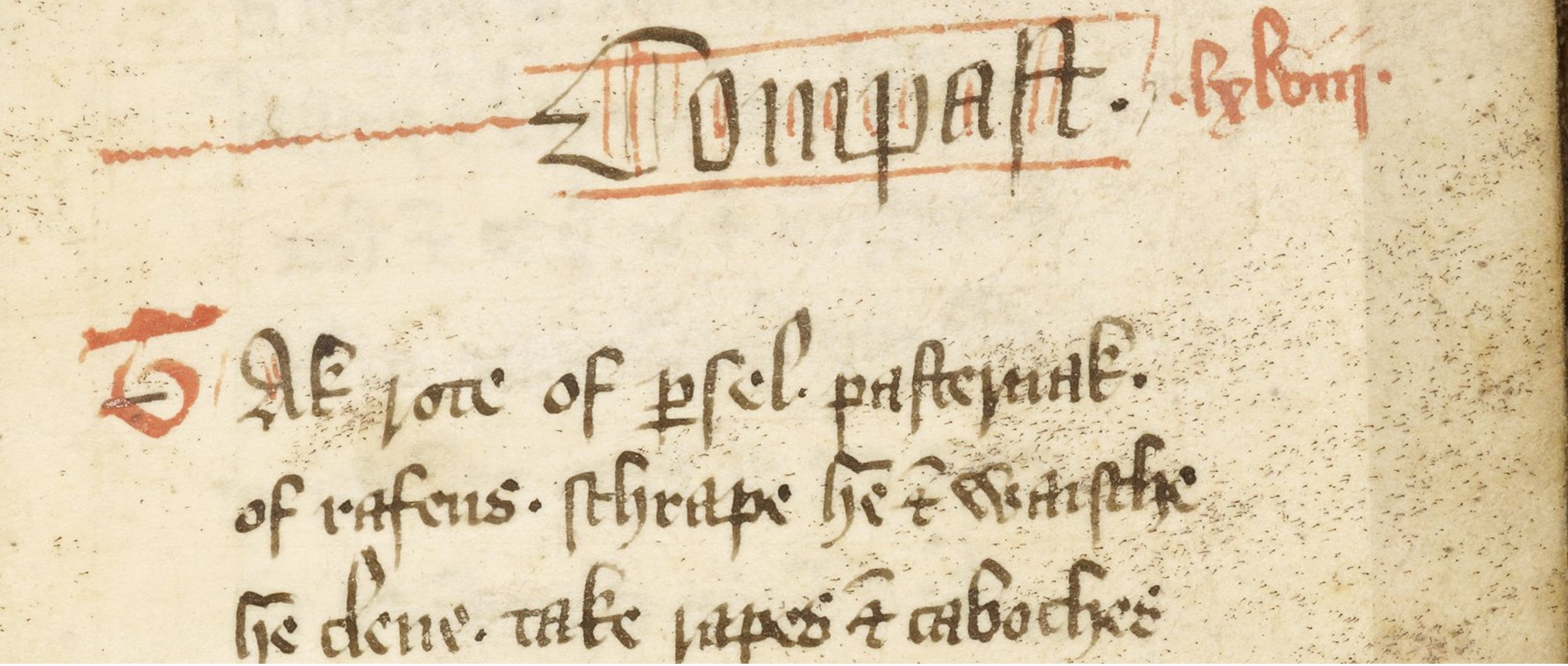 Wild about parsley? – MONK'S MODERN MEDIEVAL CUISINE