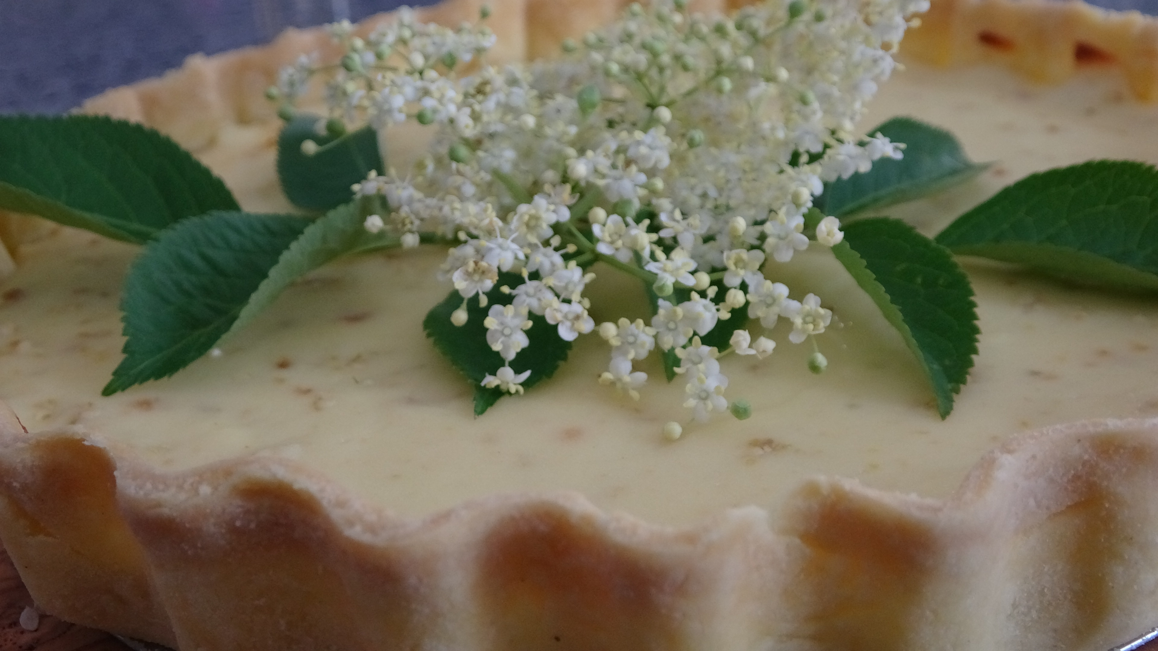 Sambocade: a summery medieval cheesecake tart – MONK'S MODERN MEDIEVAL ...