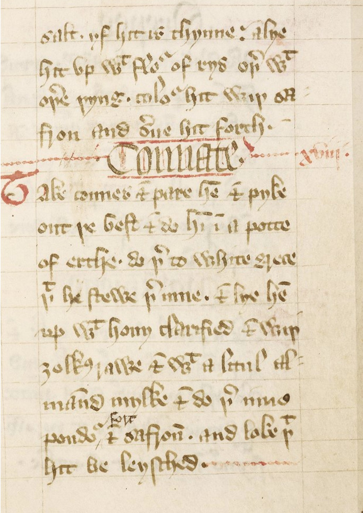 Connate and the Great British Quince-Off – MONK'S MODERN MEDIEVAL CUISINE