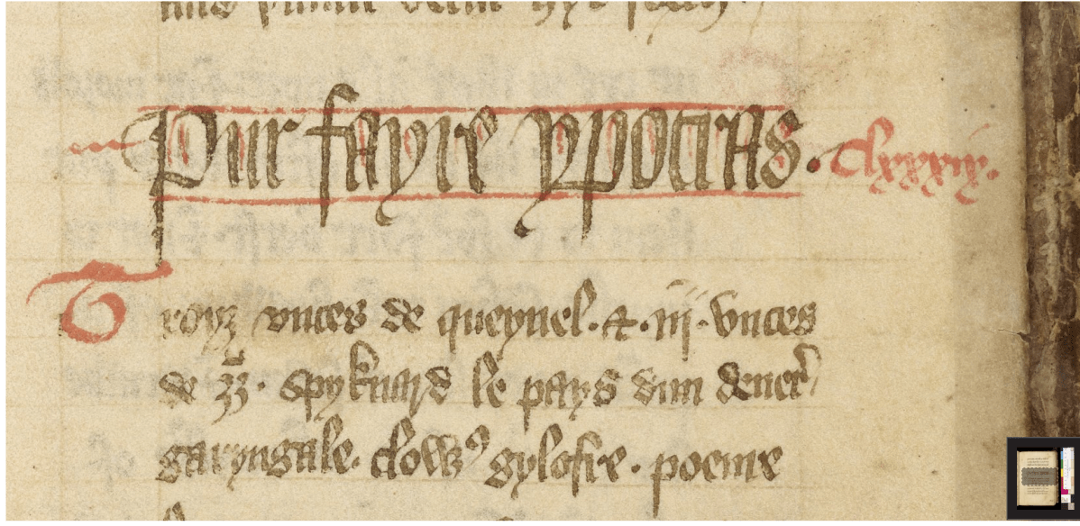 Medieval culinary glossary: hippocras – MONK'S MODERN MEDIEVAL CUISINE