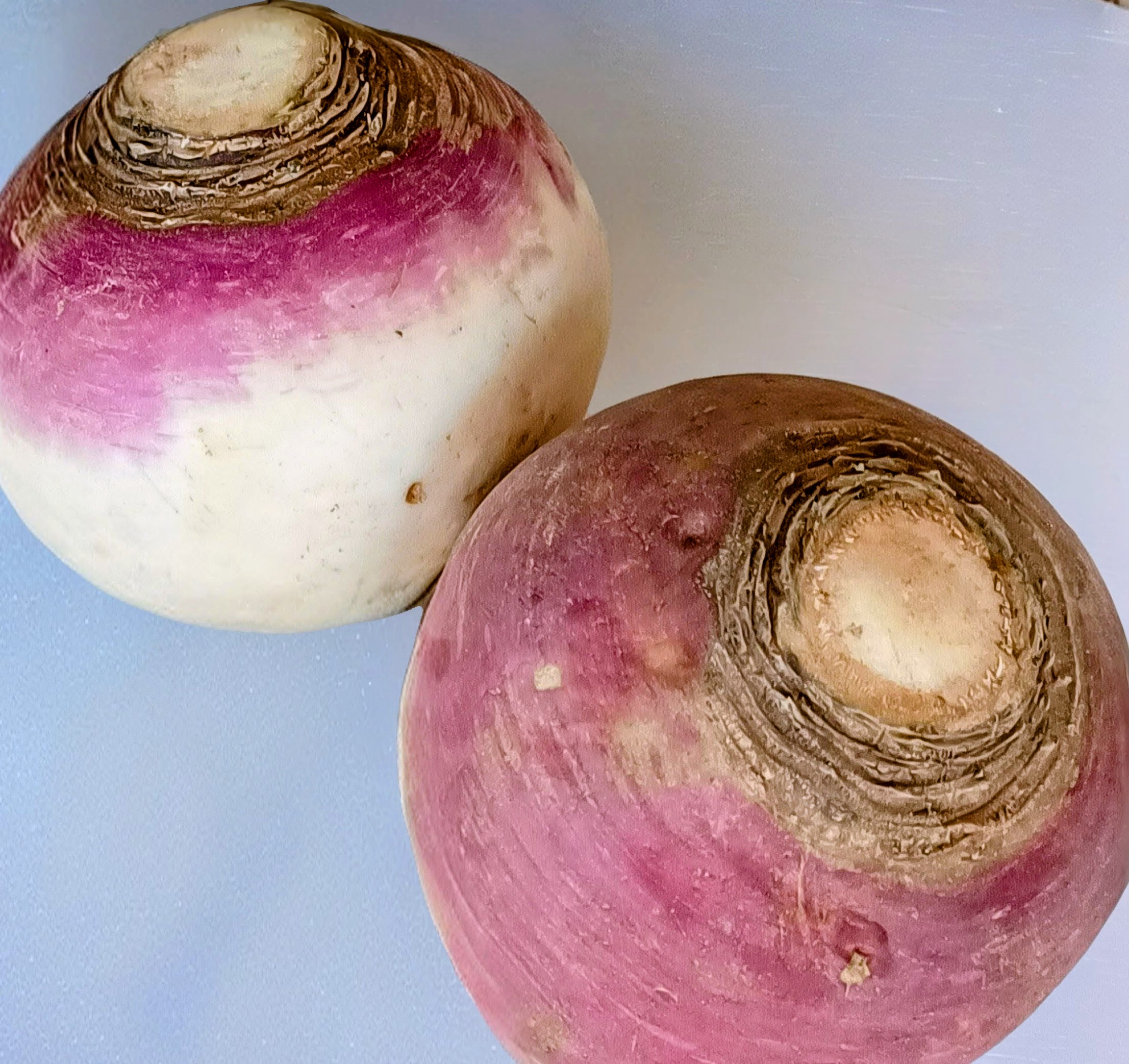 Turnips for a King: Excoriating the soul with a dash of elegance – MONK ...